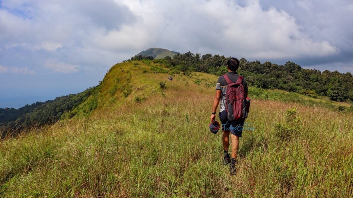 DIY Hiking Guide To Valikunja, Agumbe