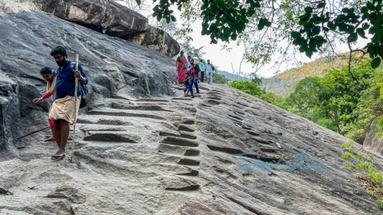 DIY Hiking Guide To Sathuragiri Hill, Tamil Nadu