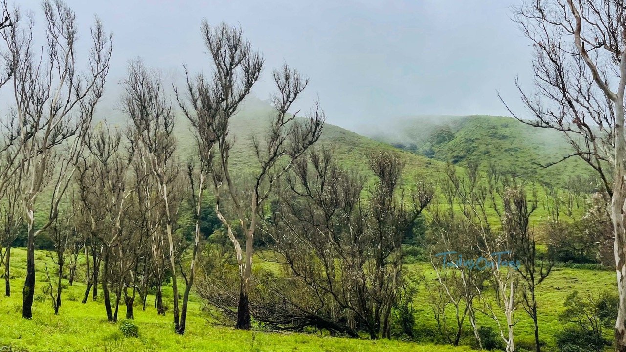 Jeep Ride To Hebbe Falls: Is It Worth INR 500 (per Person)? - TwinsOnToes