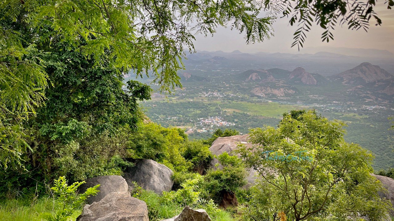 DIY Hiking Guide To Periyamalai