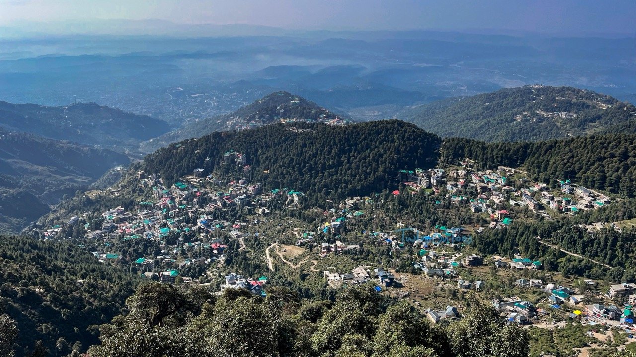 DIY Hiking Guide To Triund, Dharamkot (Himachal Pradesh)