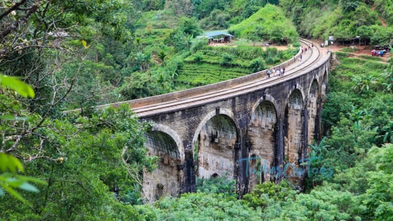 Ella’s 9 Arches Bridge: A Complete Guide