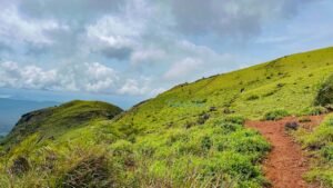 DIY Hiking Guide To Z-Point & Shanti Fall, Kemmangundi - TwinsOnToes