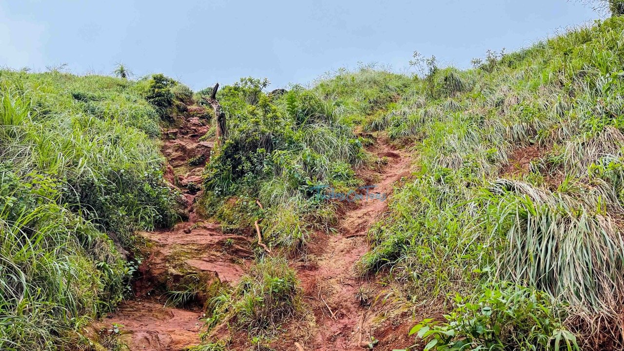 DIY Hiking Guide To Z-Point & Shanti Fall, Kemmangundi - TwinsOnToes